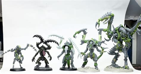 Modern Synthesist Building A Lictor Alpha Or Lictor Prime Project Deathleaper