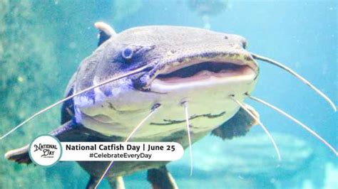 June 25 National Day Calendar