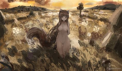 Holo Spice And Wolf Drawn By Yemaoxuan Danbooru