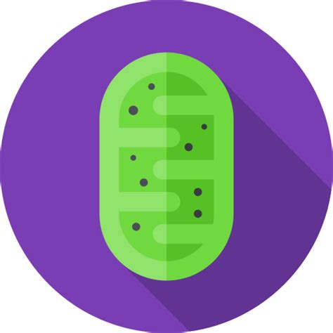 Mitochondria Flat Circular Flat Icon