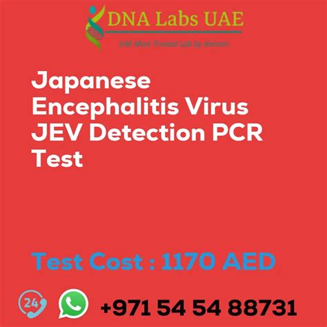 Japanese Encephalitis Virus Jev Detection Pcr Test Cost Dna Labs Uae