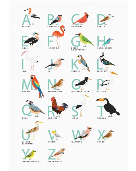 What Are Birds That Start With The Letter E At Dominic Darker Blog