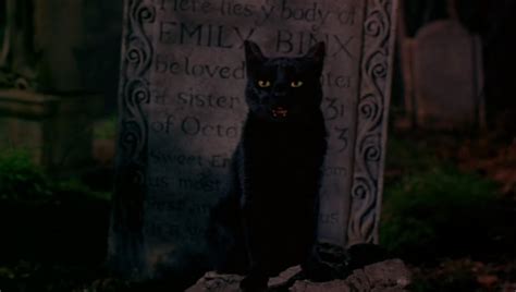 The Agitation Of The Mind 13 For Halloween 9 Hocus Pocus