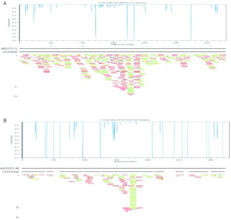 Variability Per Site Chart And Coverage Display Of The Reads Mapping To Download Scientific
