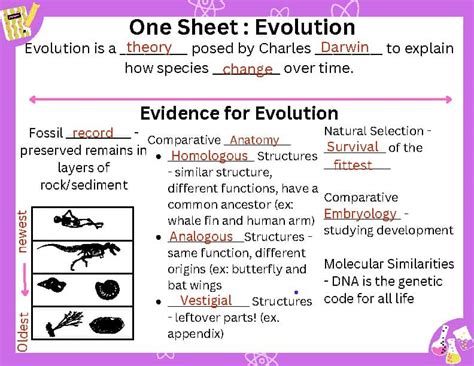 One Pager Visual Biology Summary For Diverse Learners Evolution 1
