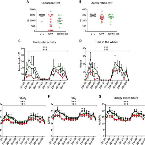 Finerenone Treatment Allowed Improving Ovariectomy‐induced Reduction In