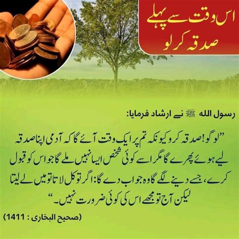 muhammad adnan posted on linkedin