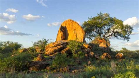 Nestled Away Meru National Park Is A Hidden Treasure The East African