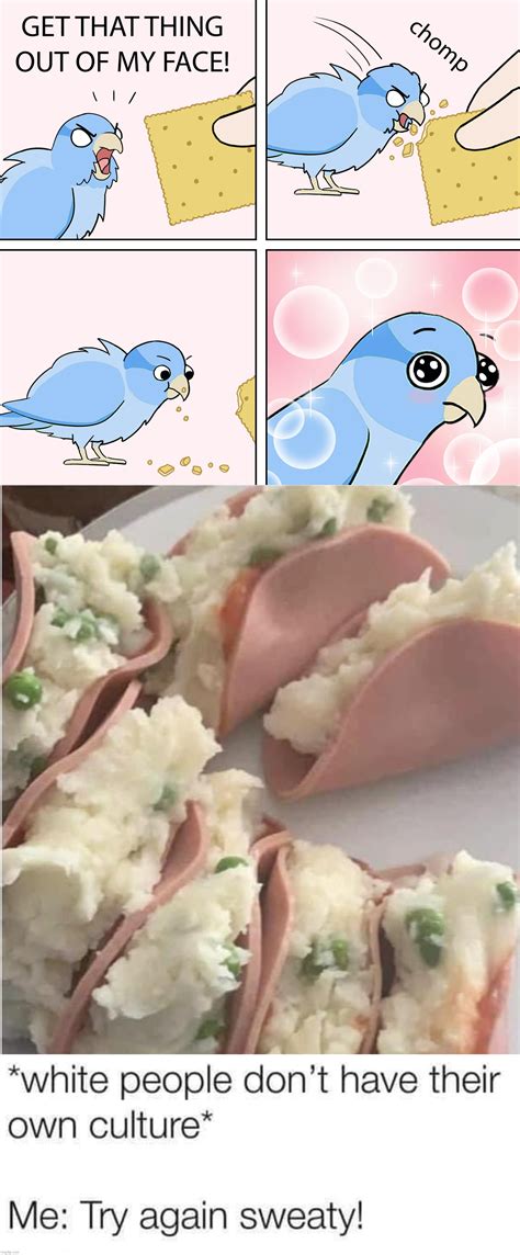 Parrot Eating Cracker Meme At Gilberto Morales Blog