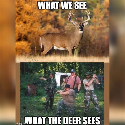 Whitetail Hunting Memes Funny Deer Hunting Memes News Hub
