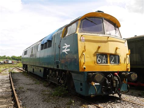 British Rail Class 52 D1048 Western Lady By The Transport Guild On