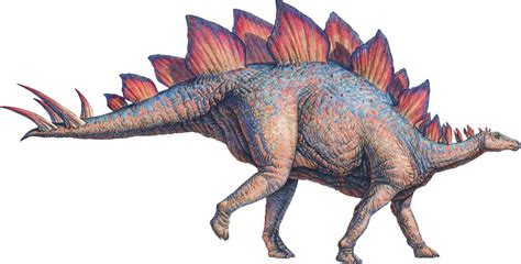 Stegosaurus Wallpapers Wallpaper Cave
