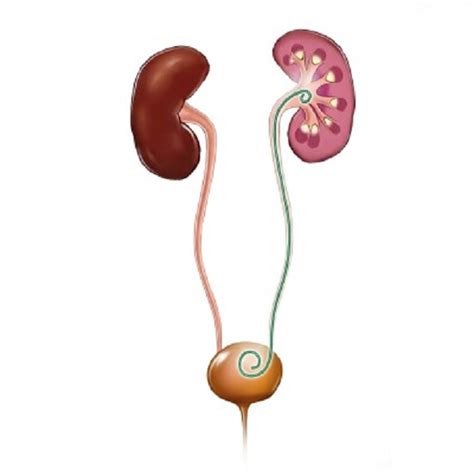 BỆnh NhÂn ĐẶt Sonde Jj CẦn LƯu Ý GÌ