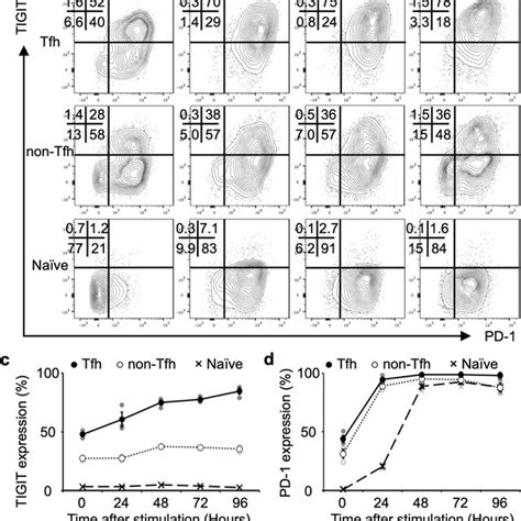 Activation Induced Tigit Expression Is Specific In Tfh Cells A