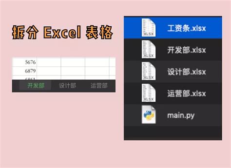 学 Python 能帮你解决什么问题 python openai