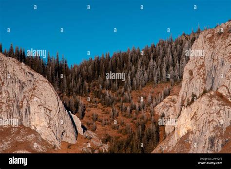 A Scenic Landscape Of A Hillside Featuring A Multitude Of Tall Rocks