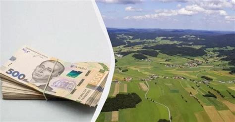 Сколько стоит 1 гектар земли в Украине 2025 по областям где дешевле всего