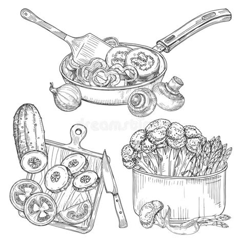 Cooking Vegetables Dishes And Vegetables Sketch Vector Illustration