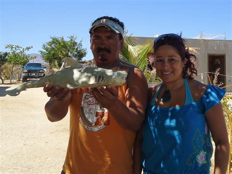 Cyclopia Shark