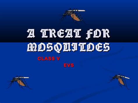 Class V Evs Mosquitoes Ppt