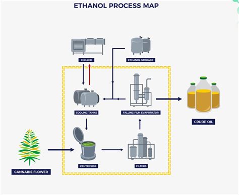 Learneveryday Royal Extract Machines