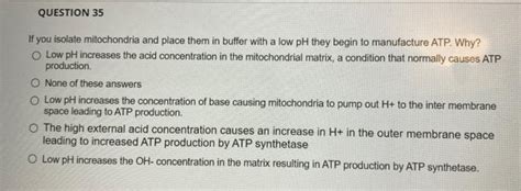 Solved If You Isolate Mitochondria And Place Them In Buffer