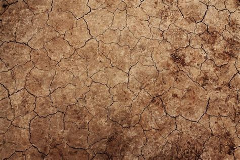 Degradación Del Suelo En España Entender El Fenómeno Para Frenarlo