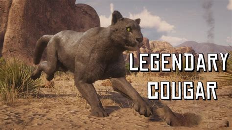 Hunting Legendary Cougar Rdr2 Youtube