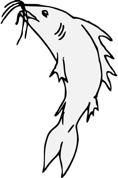 Flathead Catfish Drawing Free Download On Clipartmag
