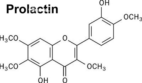 Dangers Of High Prolactin On Cycles Euro Pharma