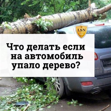 Дерево упало на гараж и машину Что делать