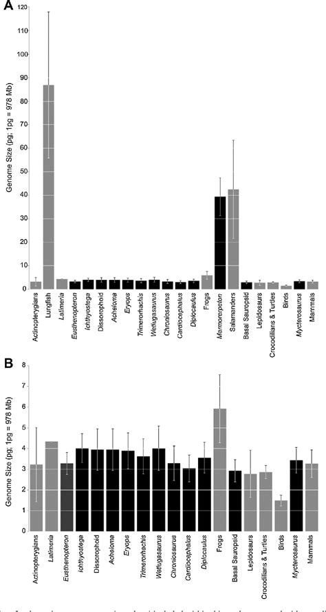 Figure 1 From Macroevolution Of Genome Size In Sarcopterygians During