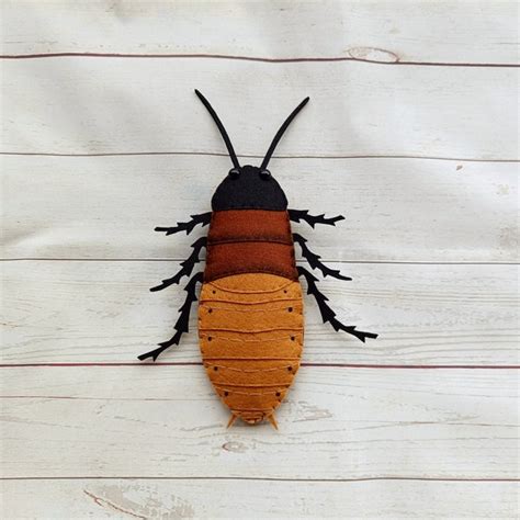 Cockroach Plush Etsy