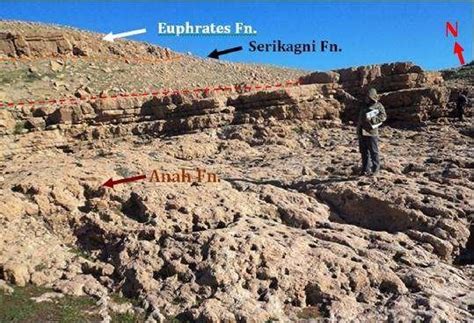 Anah Serikagni And Euphrates Formations Pungala Section Download