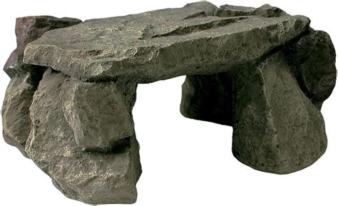 زیل شیل راک دن