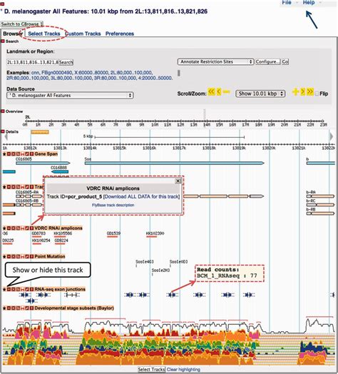 Gbrowse—the Flybase Genome Browser Tracks Are Selected By Clicking On Download Scientific