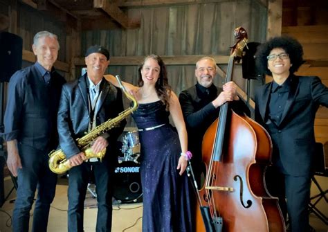The Vintage Vibe Tribe New Jersey Jazzpoprock Cover Band