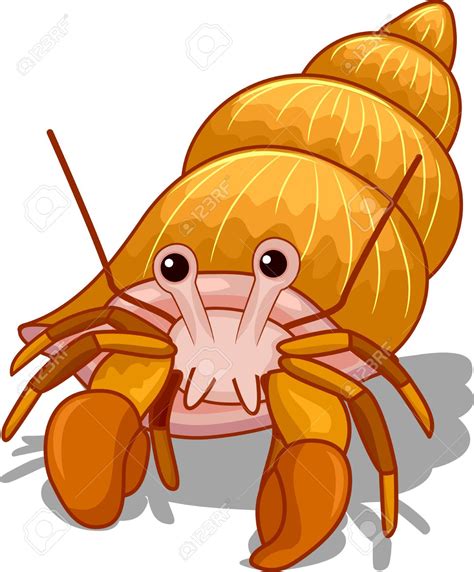 Hermit Crabs Clipart Free Download On Clipartmag