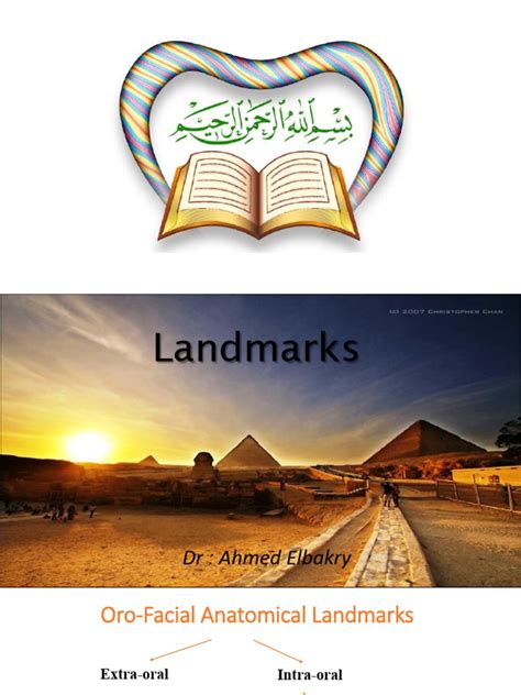 3 Landmarks Limiting Pdf Tongue Lip