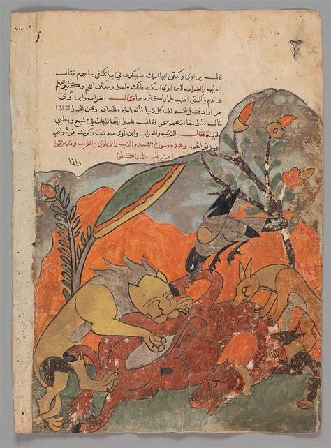 The Attack On The Camel By The Lion Crow Wolf And Jackal Folio