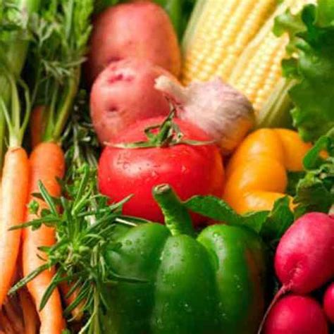 Fresh Vegetables Hsn Code At Paige Cremean Blog