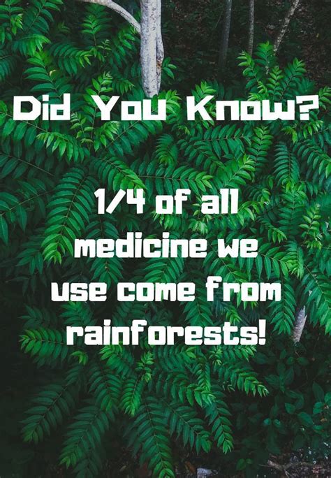 What Is Human Environment Interaction In Geography Artofit
