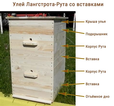Улей для пчел: как сделать своими руками, чертежи, устройство
