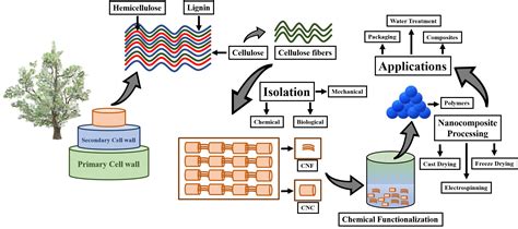 Sources Chemical Functionalization And Commercial Applications Of