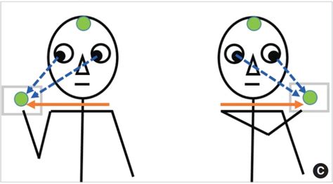 Vor And Gaze Stabilization Exercises Vor And Gaze Stabilization Exercises