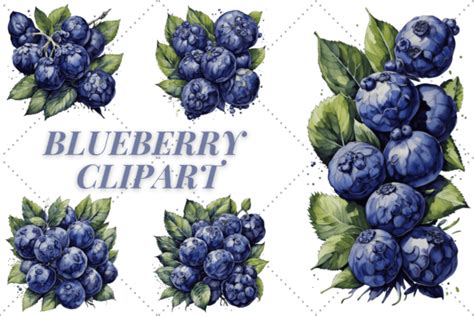 Watercolour Blueberry Clipart Bundle Graphic By Ynovaart · Creative Fabrica
