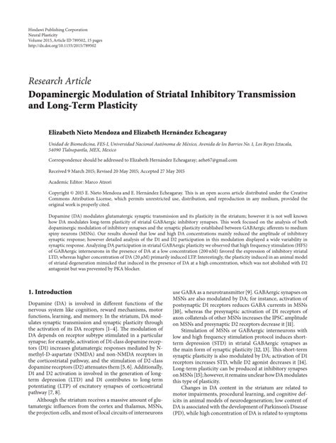 Pdf Dopaminergic Modulation Of Striatal Inhibitory Transmission And