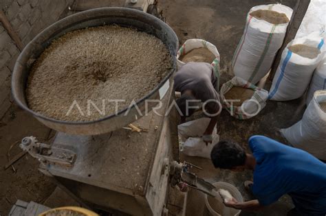 Persediaan Beras Di Penggilingan Padi Antara Foto