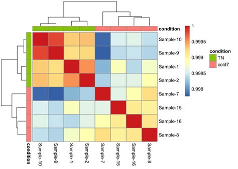 Pseudobulk Deseq2 Analysis Pseudobulk For Single Cell Rna Seq