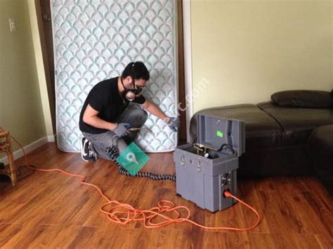 Ez Bed Bug Exterminator Nyc New York